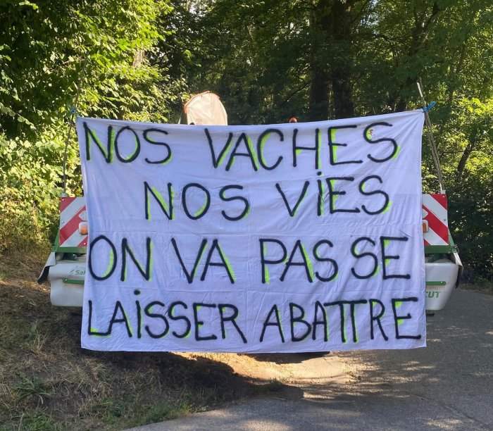 Dermatose Nodulaire Contagieuse : l’abattage systématique ...